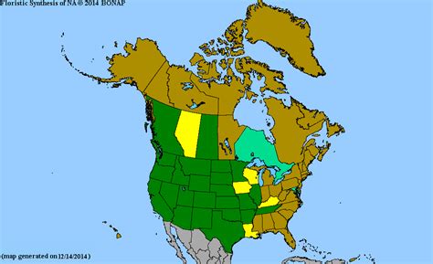 2013 Bonap North American Plant Atlas Taxonmaps