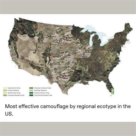 Most Effective Camo Pattern By Region