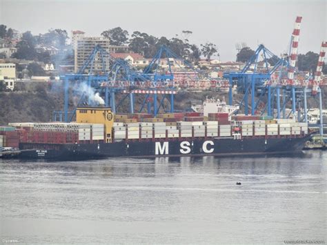 Msc Chloe Vessel Photos For Kpitan69