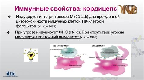 ТРАНСФЕР ФАКТОР ПЛЮС. Продажа, свойства и применение. Купить Трансфер ...