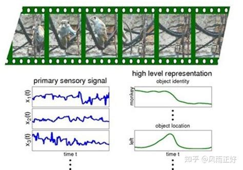 slow feature analysis 知乎
