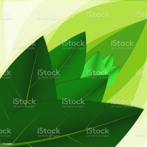 向量 白色背景上的綠葉向量圖形及更多十月圖片 十月 咖啡色 大自然 Istock