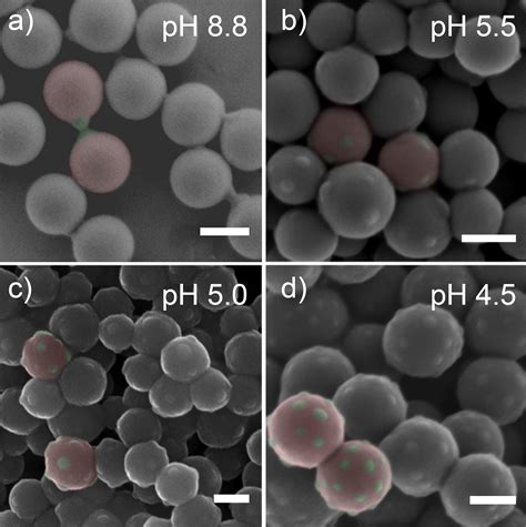Innovation In Emulsion Polymerization Process Opens Window To Janus And