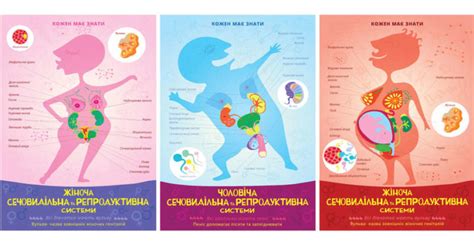 Просто та без сорому про статеве дозрівання плакати та відео в допомогу старшим Освіта Інфо