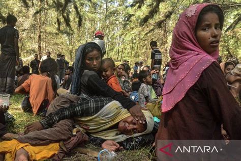 Ratusan Pengungsi Rohingya Kembali Datang Di Aceh Timur Antara News