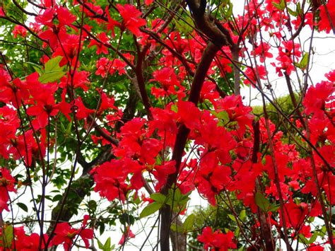 高塚山 2024 04 17 たこやきマンさんの高塚山の活動データ Yamap ヤマップ