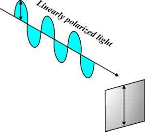 Polarization Of Light Unifyphysics