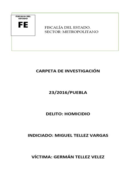 Carpeta De InvestigaciÓn De Homicidio Pdf Fiscal Castigos