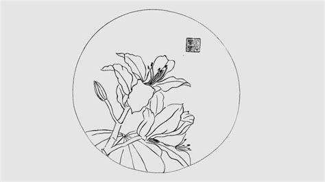 工笔白描花卉学习大家来看看小胖画的怎么样 教育 兴趣学习 好看视频