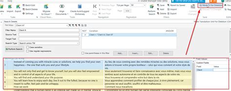 How To Delete TUs In A TM That Do Not Contain Custom Field Values 1