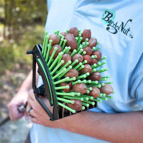Bag A Nut Stab A Nut Nut Picker Upper Tool