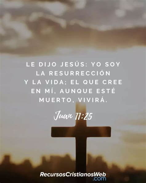 50 Versículos Para Evangelizar Textos Bíblicos In 2024