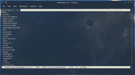 VIM Find And Replace Onet IDC
