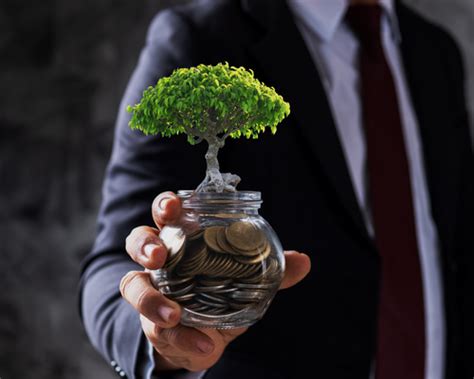 8 Reasons Why Developing A Csr Framework Is Vital To Success Corporate Challenge Team Building