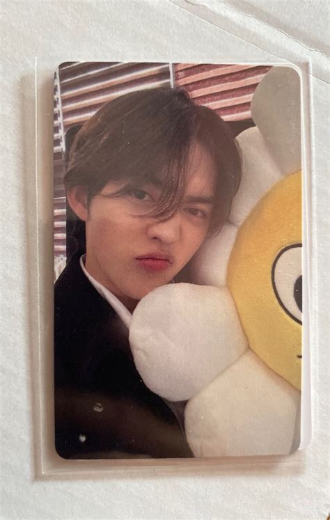 Scoups Chamomile Incheon Pc Photocard Hobbies And Toys Memorabilia