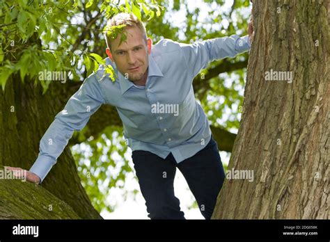 Gymnastics In The Tree Stock Photo Alamy