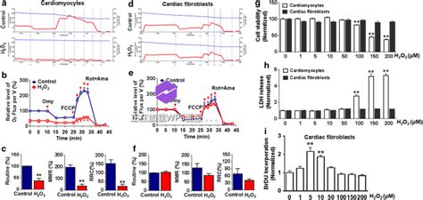 The Mitochondrial Respiratory Function And Cell Survival Of