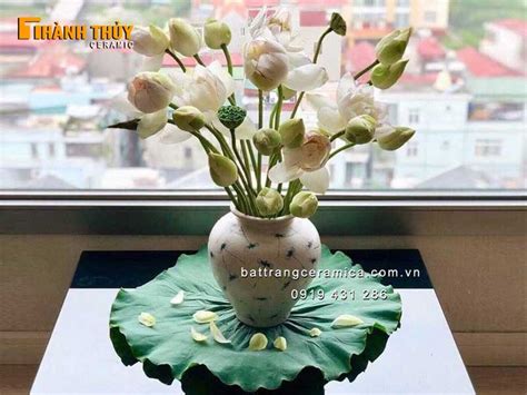 20 Mẫu Lọ Hoa Sen đẹp Lọ Hoa Sen đẹp Thích Hợp Cho Mọi Không Gian