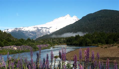 Cerro Tronador Bariloche Org