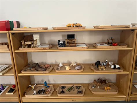 Replicas Objects Insects With Wooden Tray Montessori Toys