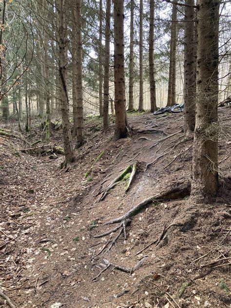 Ideal Suspension Travel For Tracl Like This Rmtb