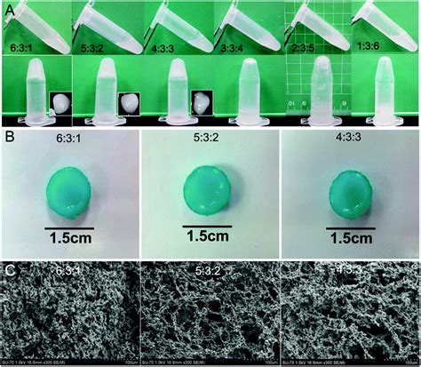Development Of Kartogenin Conjugated Chitosanhyaluronic Acid Hydrogel