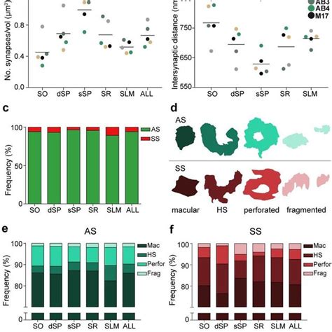 Synaptic Density Intersynaptic Distance Proportion Of Asymmetric Download Scientific Diagram