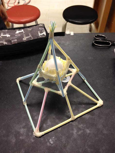 Egg Drop Science Experiment