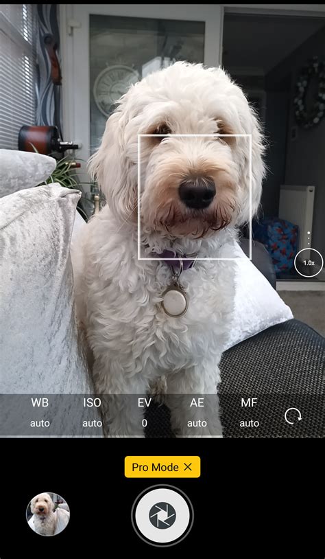 Doogee S Pro Review Digital Camera World