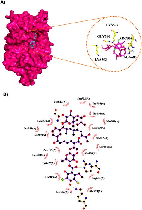 Representations Of Protein Ligand Complexes From Molecular Docking A