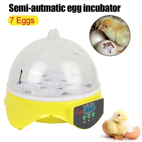 Brooder Poultry Incubator Egg Incubator Automatic Intelligent Temperature 7 Eggs Chicken Duck