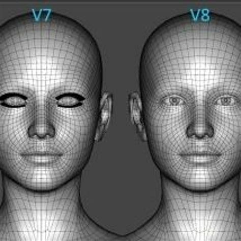 Stream Daz Studio Anatomy Female Genitalia Torrent By Chris Listen