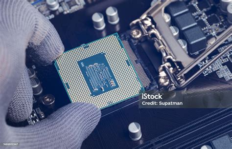 컴퓨터 기술 하드웨어 개념입니다 수리공 컴퓨터 실험실의 마더보드 소켓에 Cpu 설치 Cpu 컴퓨터 프로세서 얕은 초점 유지 보수