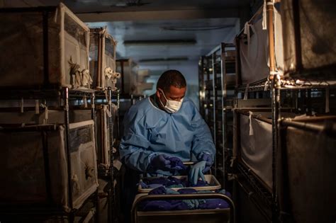 Zika Forgotten And Forsaken Global Norths Lack Of Interest Leaves Vulnerable Families