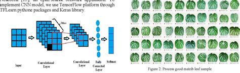 Figure 3 From Matrib Leaf Classification Using Deep Neural Network An