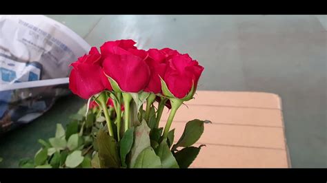 인터넷꽃도매시장 비탈장미 생화 생화택배 생화도매 장미대량구매 꽃 꽃종류 꽃다발 꽃도매 꽃시장 부산꽃시장 김해꽃시장 꽃쇼핑몰 김해꽃 부산꽃 꽃싸게사는법 Youtube