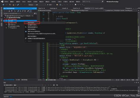 c （vs2019） vtk（sharp） opencv（sharp）实现点云显示，图片显示，详细配置流程