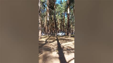 სურამის ტყეში გავგრილდით ️ Youtube