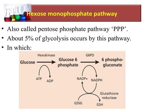 G6pd Deficiency Anaemai Ppt