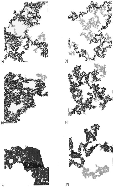 Figure 1 From Invasion Percolation With Long Range Correlations First