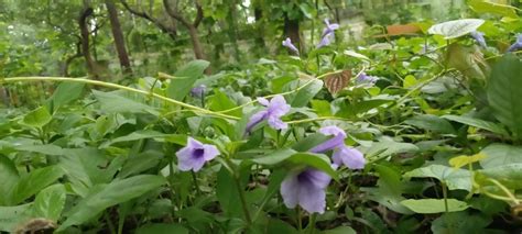 Ashish Sulakhe Posted On Linkedin