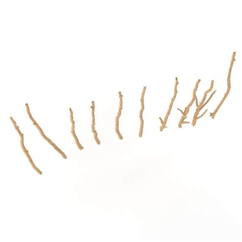 3d Model Wooden Stick Branch Bat Rod Collection Game Asset Ready Low