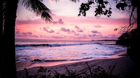 Pink Beach Images Free Photos Png Stickers Wallpapers And Backgrounds