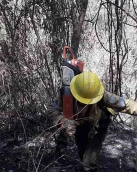 En Agosto 600 HectÁreas Fueron Afectadas Por Incendios Forestales En Jujuy