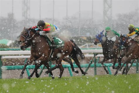 【中山牝馬s】雪の中山でフェアリーポルカが重賞初v Umatoku 馬トク