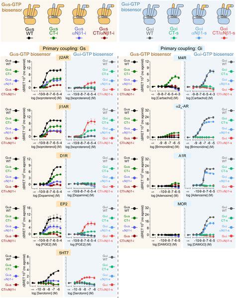 Direct Interrogation Of Context Dependent Gpcr Activity With A Universal Biosensor Platform Cell