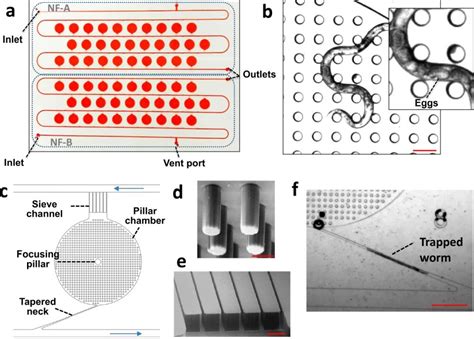 Microfluidic Platform Flown To The International Space Station To Study