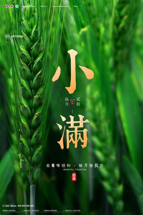 小满图片 小满素材下载第 页 包图网