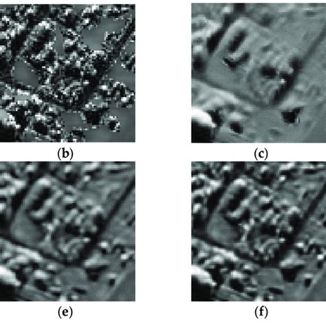 Despeckling Results Of A Local Enlargement Of Figure 9 A Noisy Download Scientific Diagram