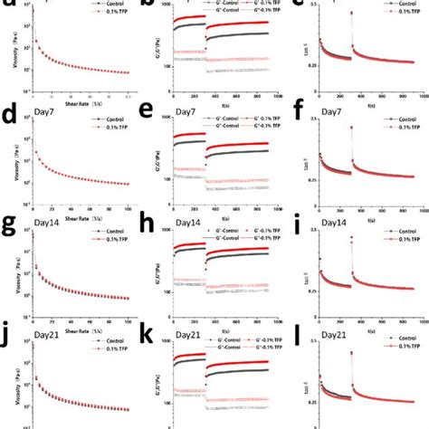 Microstructure Of Set Yogurt Containing 01 Tfp With Magnification Of Download Scientific